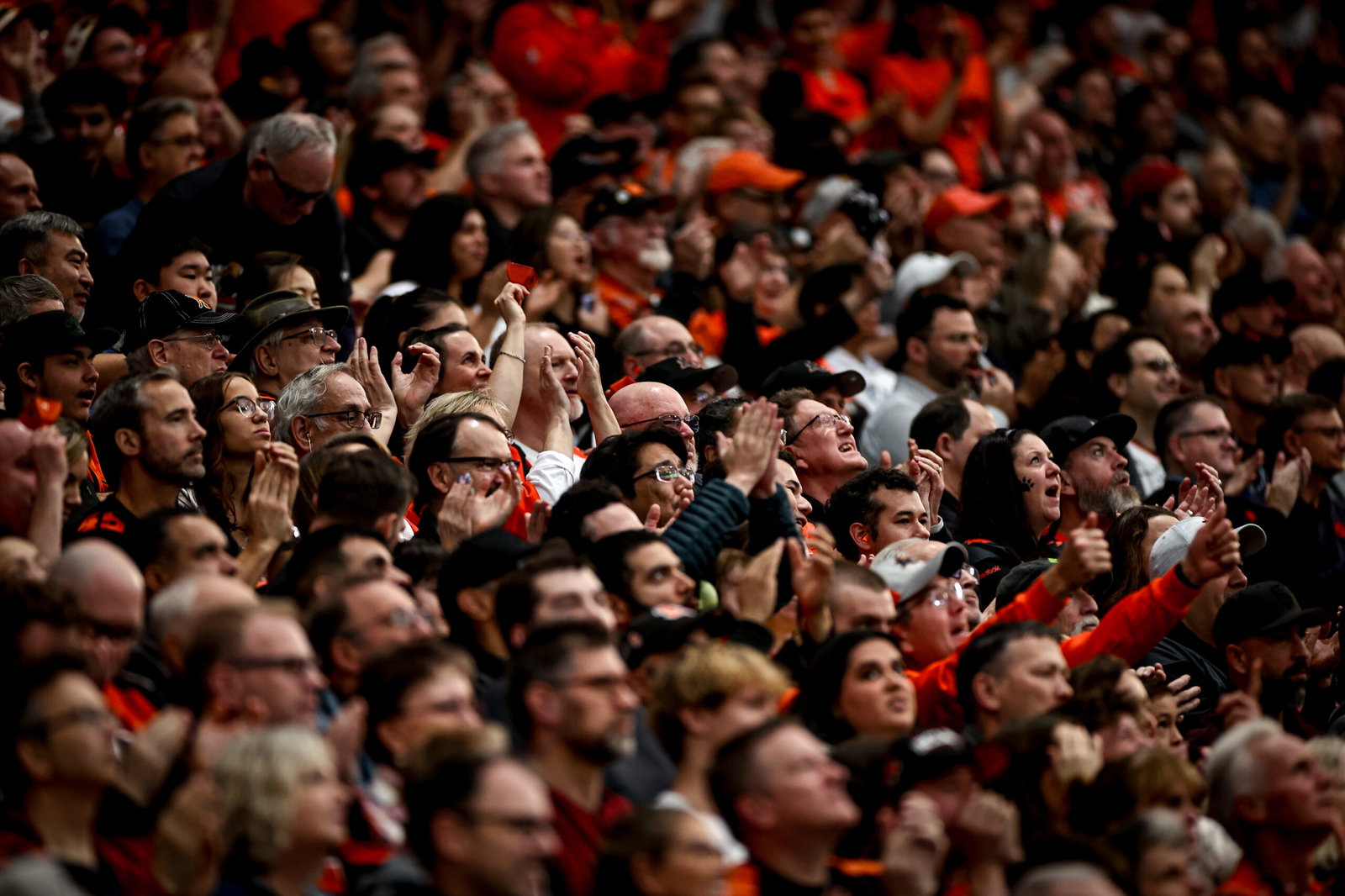 B.C. Lions strong favourites as huge crowd expected for home opener ...