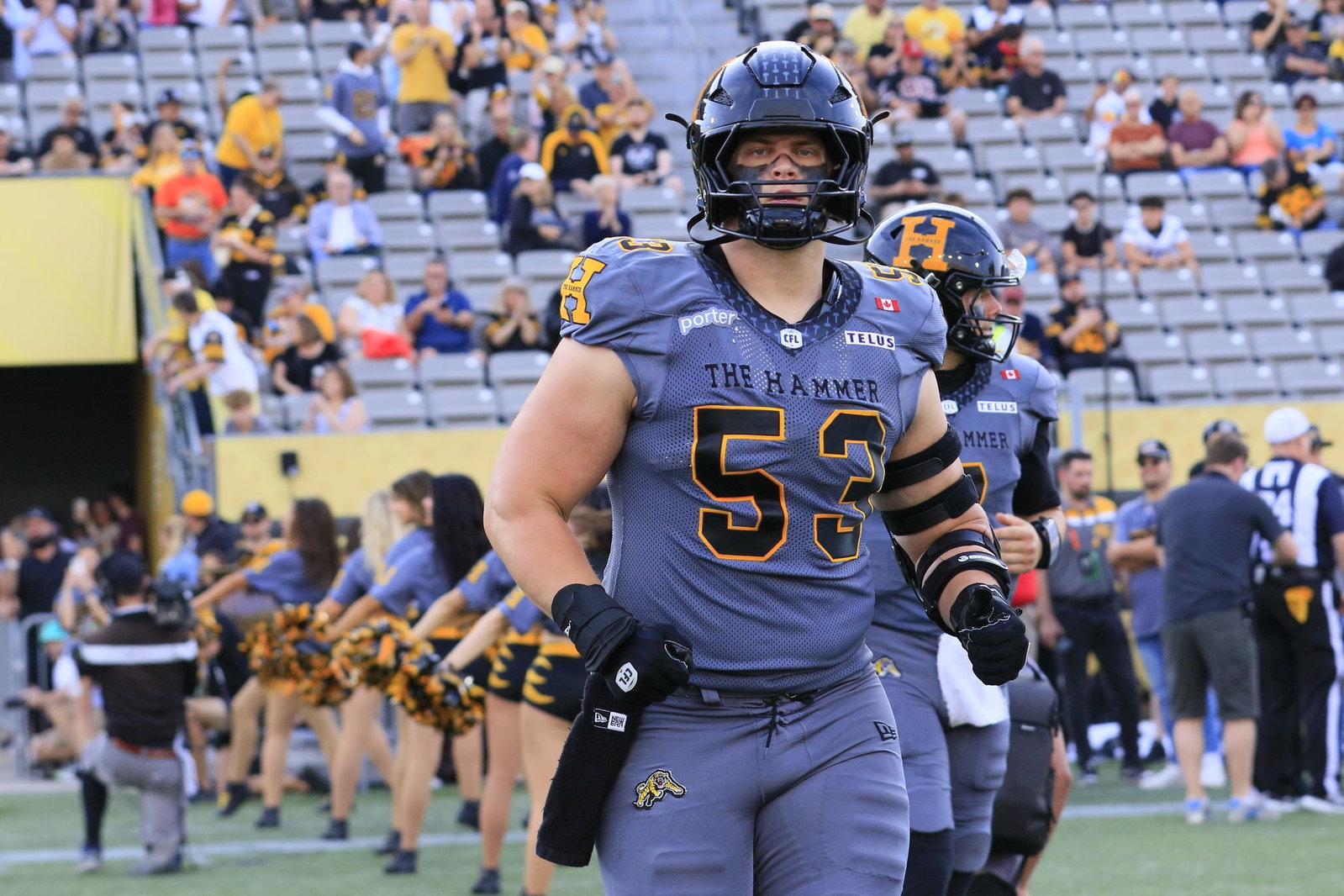 Edmonton Elks agree to terms with former Ticats OL Brendan Bordner ...